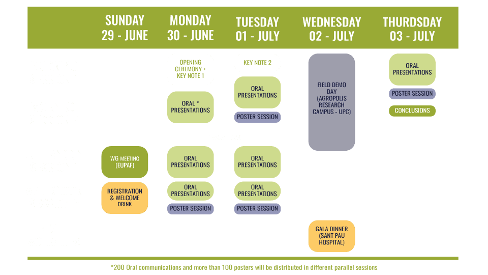 ADVANCED PROGRAMME | ECPA Barcelona 2025